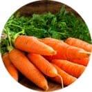 Organic Supergreens - Paleovalley